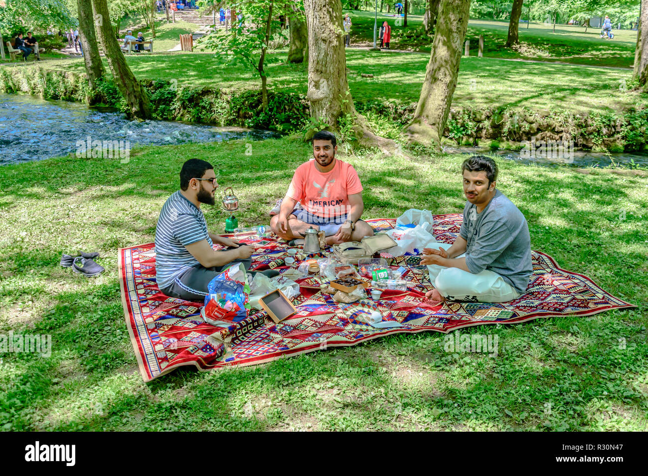 Traditional picnic blanket hi-res stock photography and images - Alamy