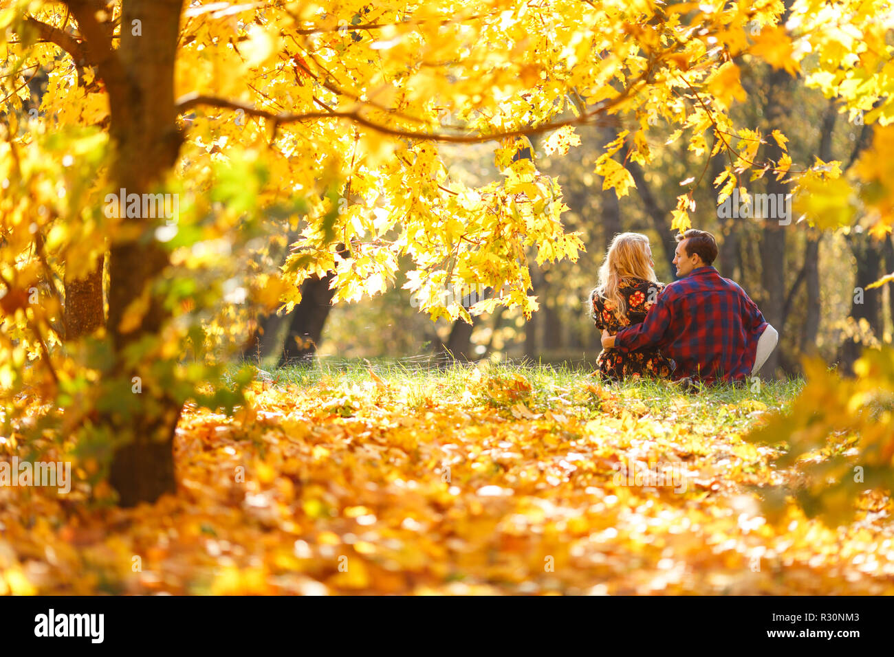 Photo from back of couple in love in woods among trees Stock Photo - Alamy