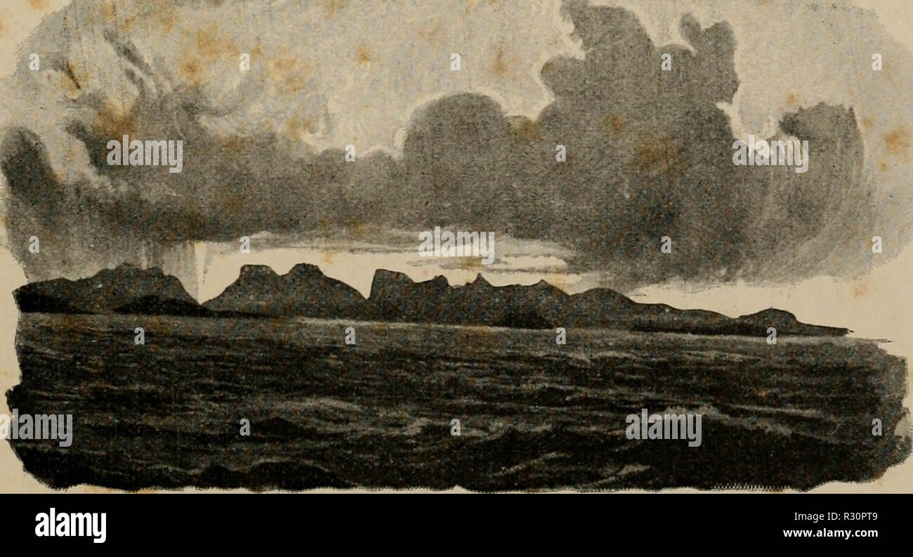 "The art Bible, comprising the Old and new Testaments : with numerous ...