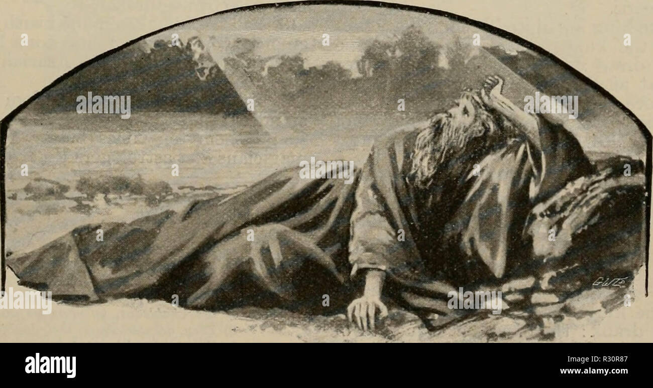 "The art Bible, comprising the Old and new Testaments : with numerous ...