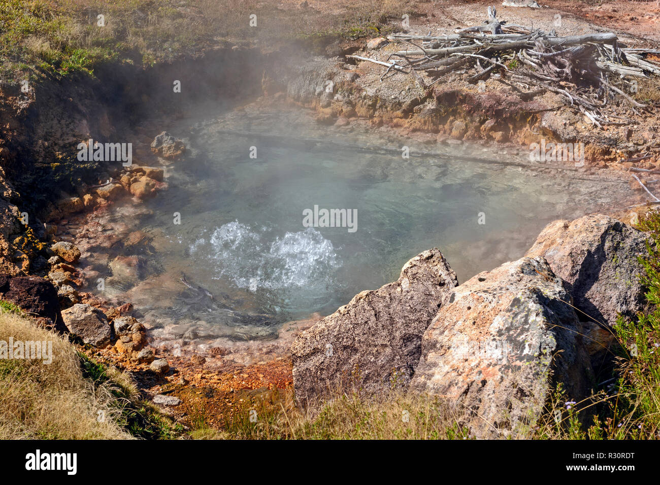Boiling Water in a Thermal Pool in Artist's Paint Pots in Yellowstone ...