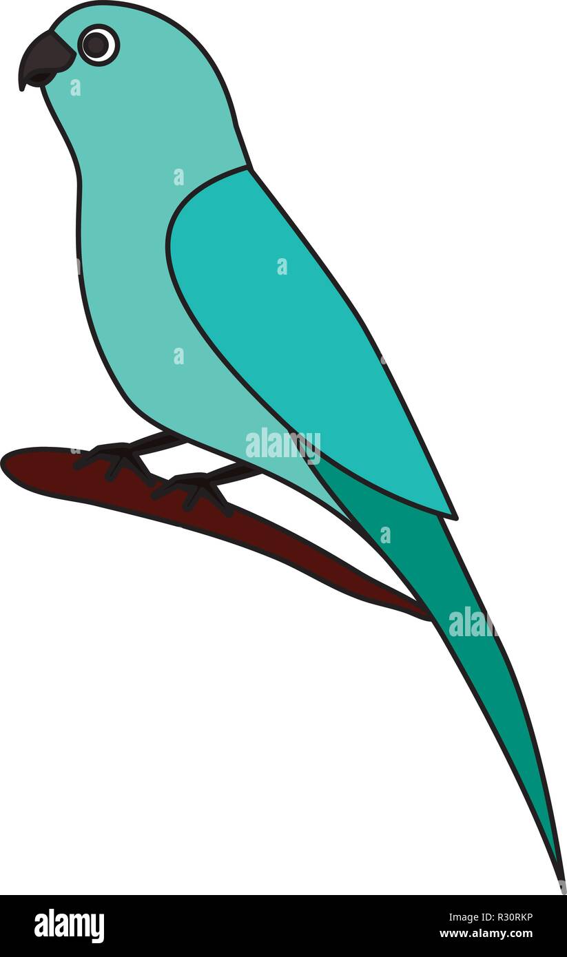 little canary bird on branch vector illustration Stock Vector Image ...