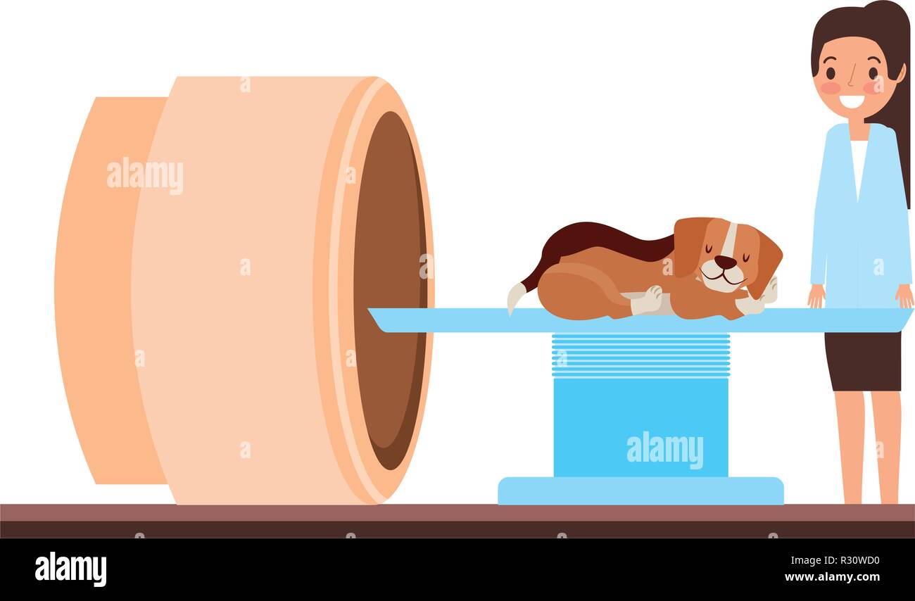 female doctor and dog scanning machine veterinary clinic vector ...