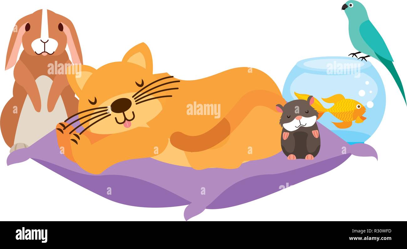 Kittens And Puppies And Bunnies And Hamsters