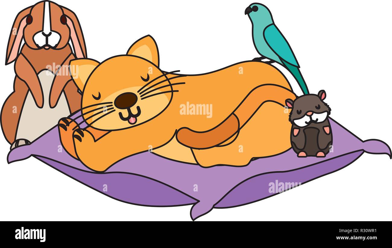 cat hamster rabbit and bird goldfish on cushion bed vector illustration ...