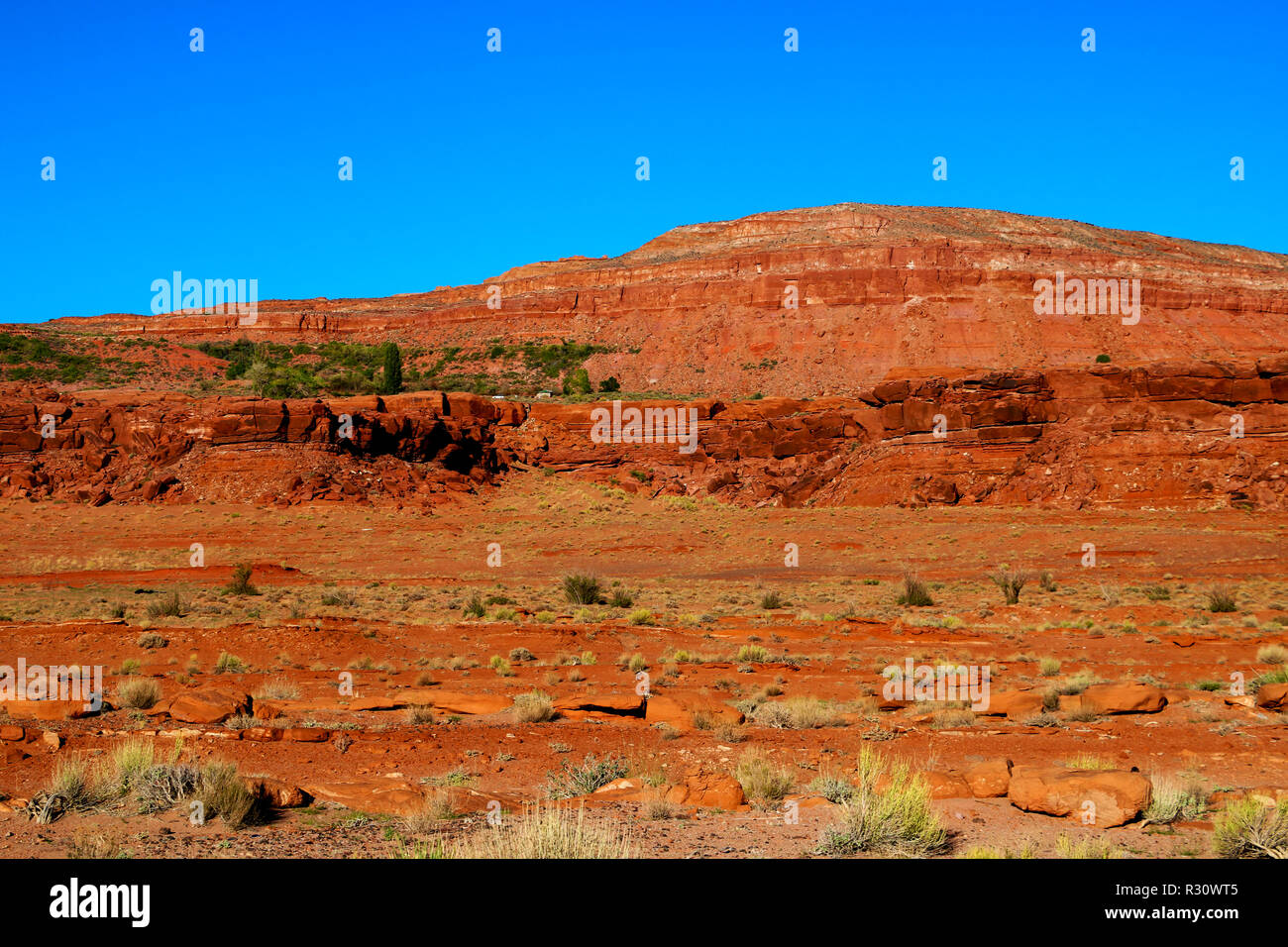 Tuscon mountain country park hi-res stock photography and images - Alamy