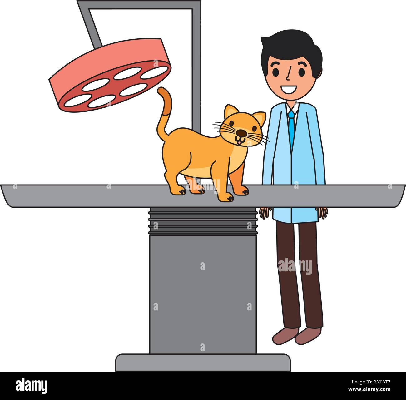 veterinary doctor with cat examination clinic vector illustration Stock ...