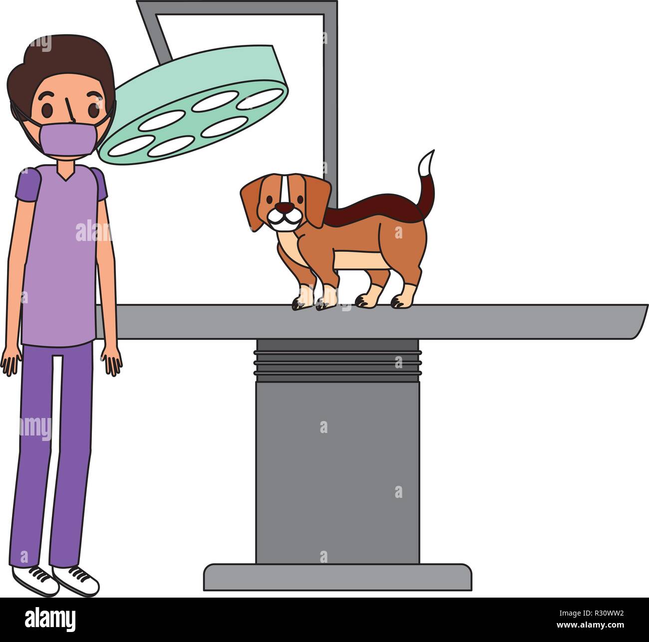 veterinary doctor surgery dog clinic petcare vector illustration Stock ...