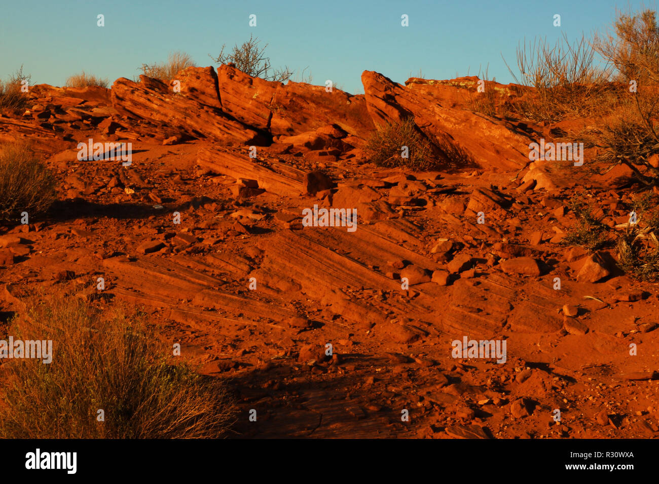 American gold landscape hi-res stock photography and images - Alamy