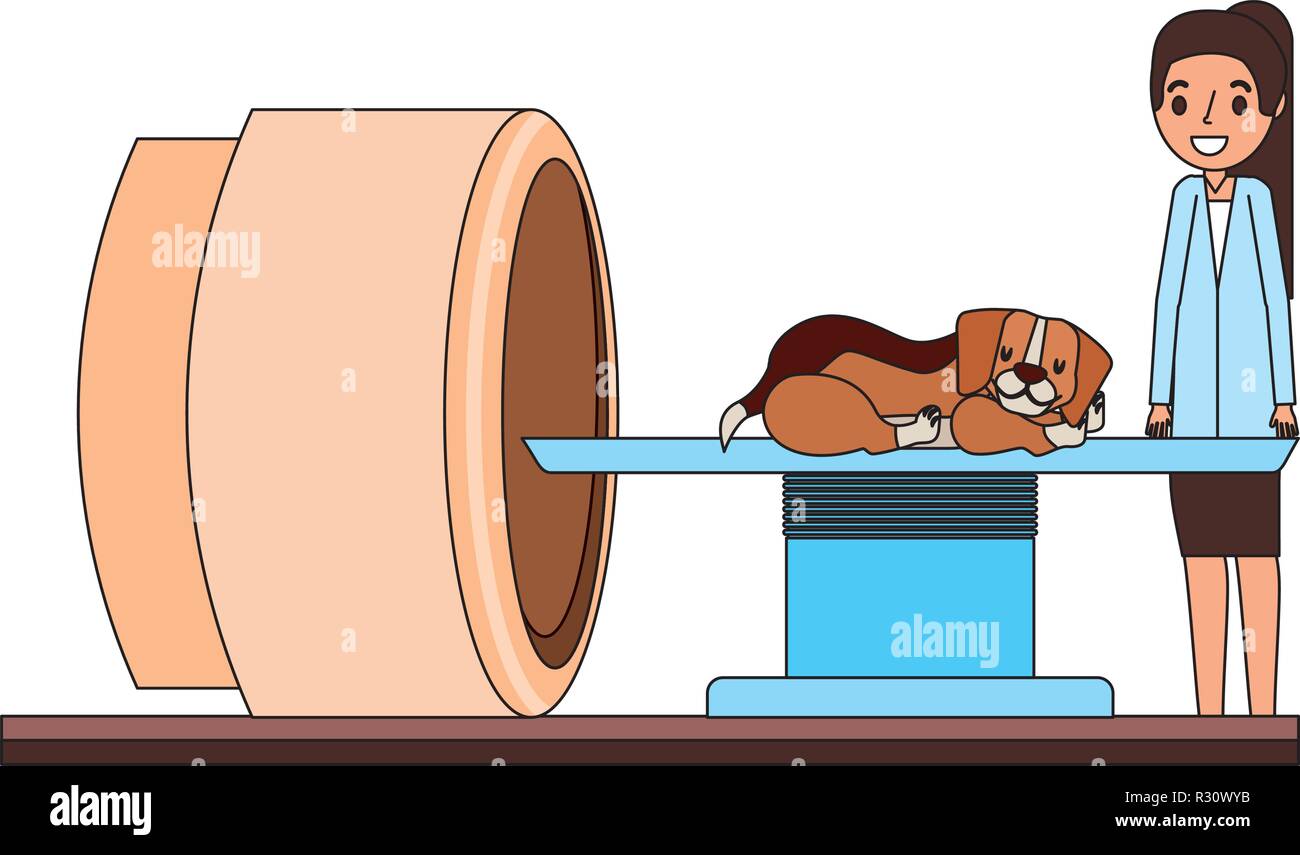 female doctor and dog scanning machine veterinary clinic vector ...