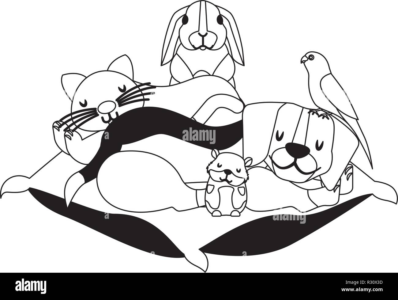 dog cat hamster rabbit and bird on cushion bed vector illustration ...