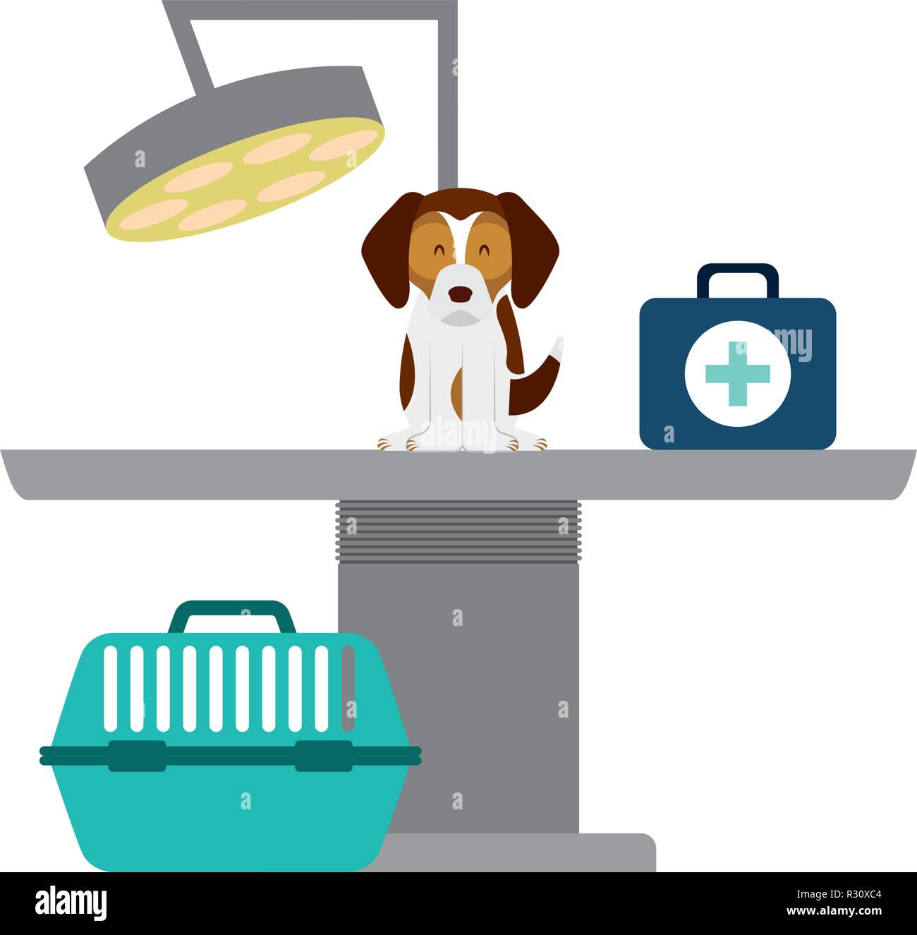 dog medicine kit veterinary clinic petcare vector illustration vector ...