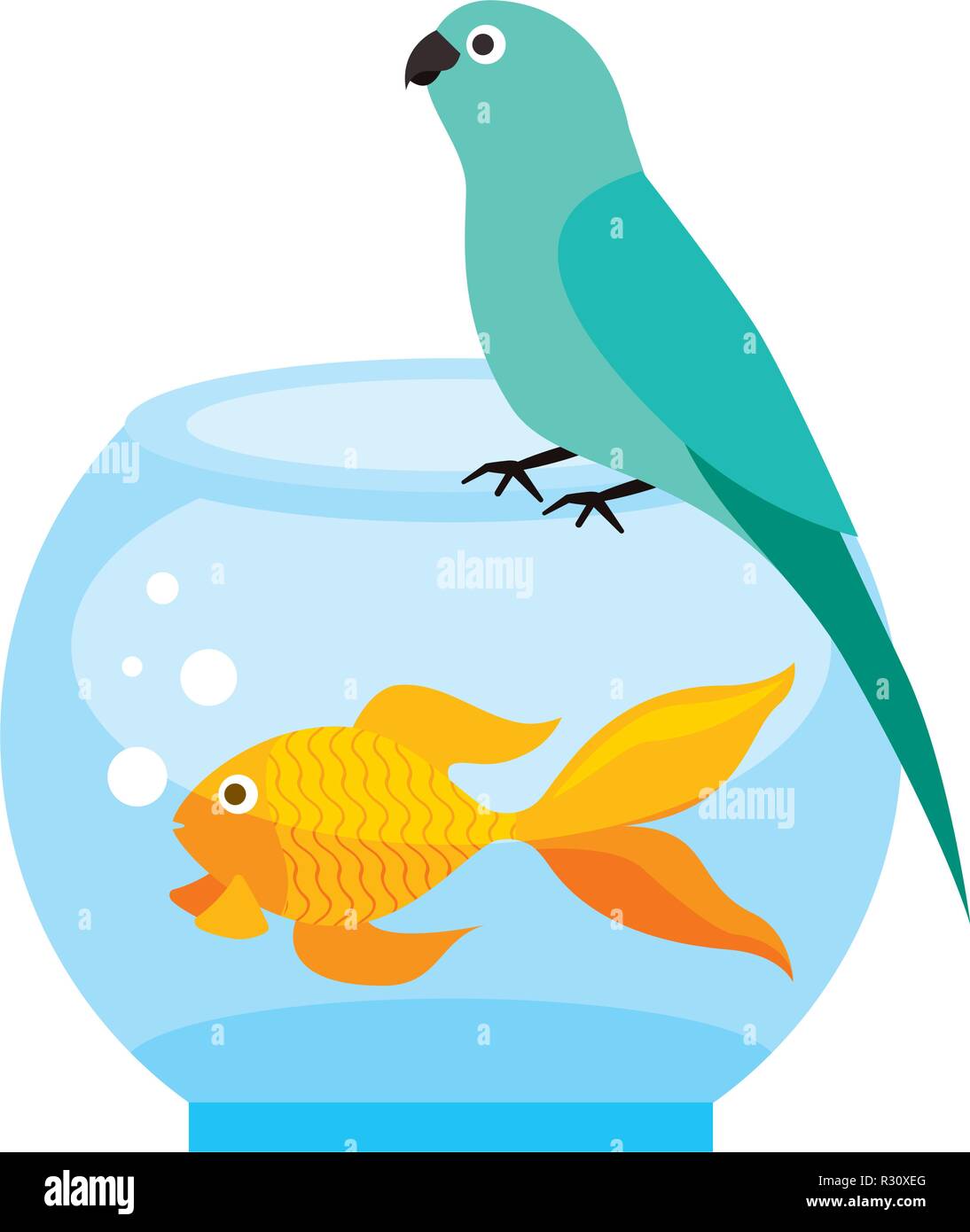 Canary goldfish hi-res stock photography and images - Alamy