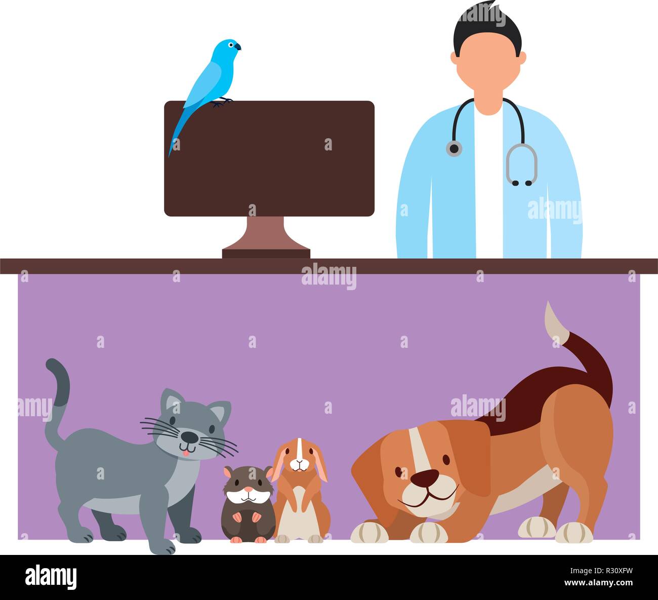 doctor veterinary animals computer clinic petcare vector illustration ...