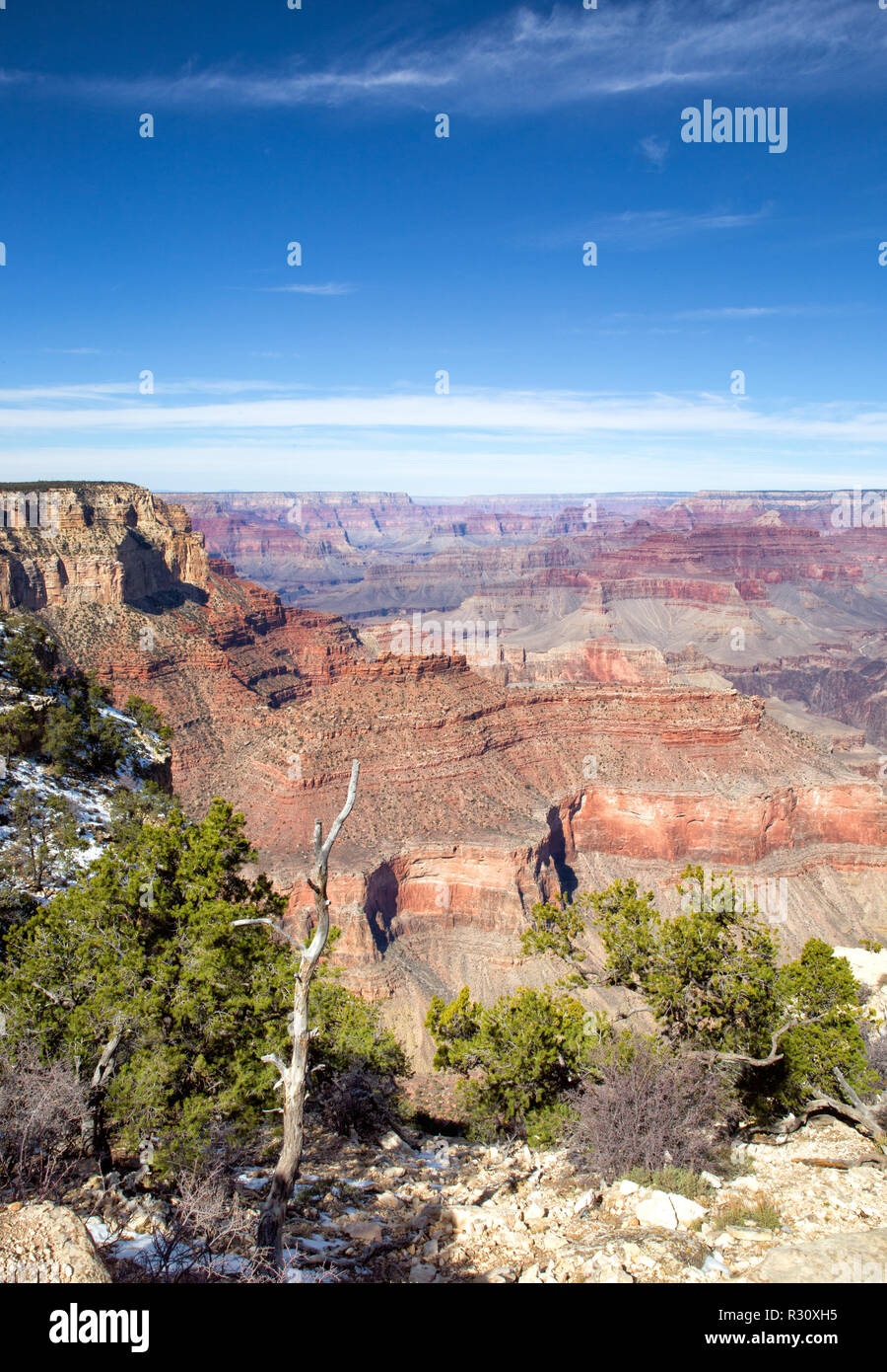 Grand Canyon, North rim, Arizona Stock Photo - Alamy