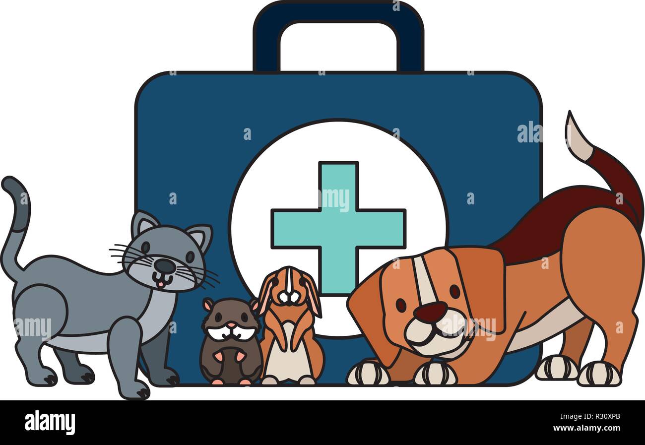 kit first aid dog cat rabbit hamster veterinary clinic petcare vector ...