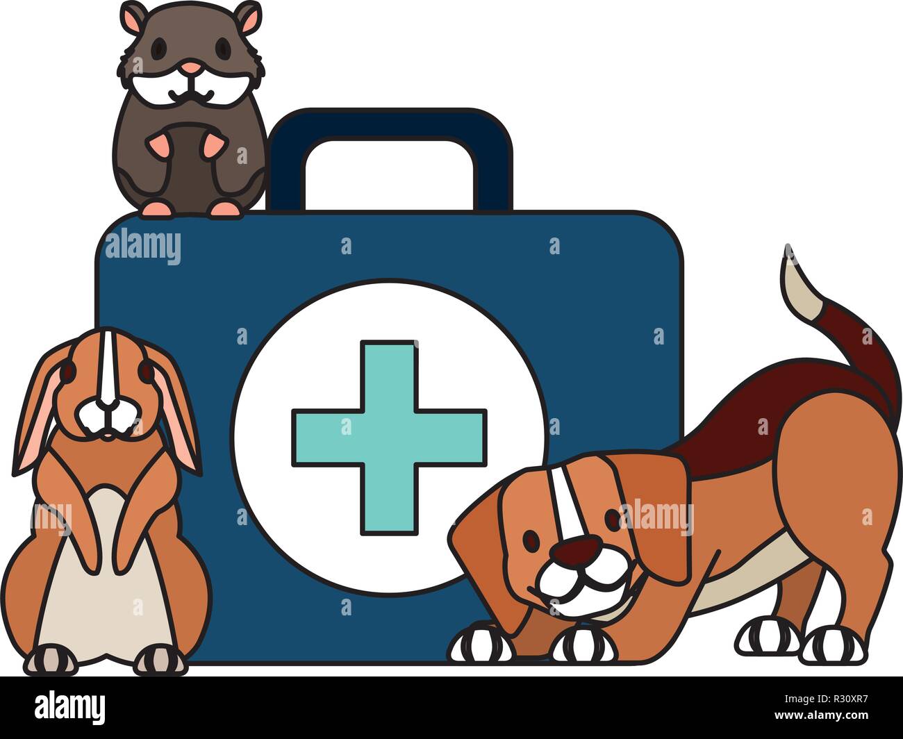dog hamster and rabbit and kit medicine veterinary clinic petcare ...