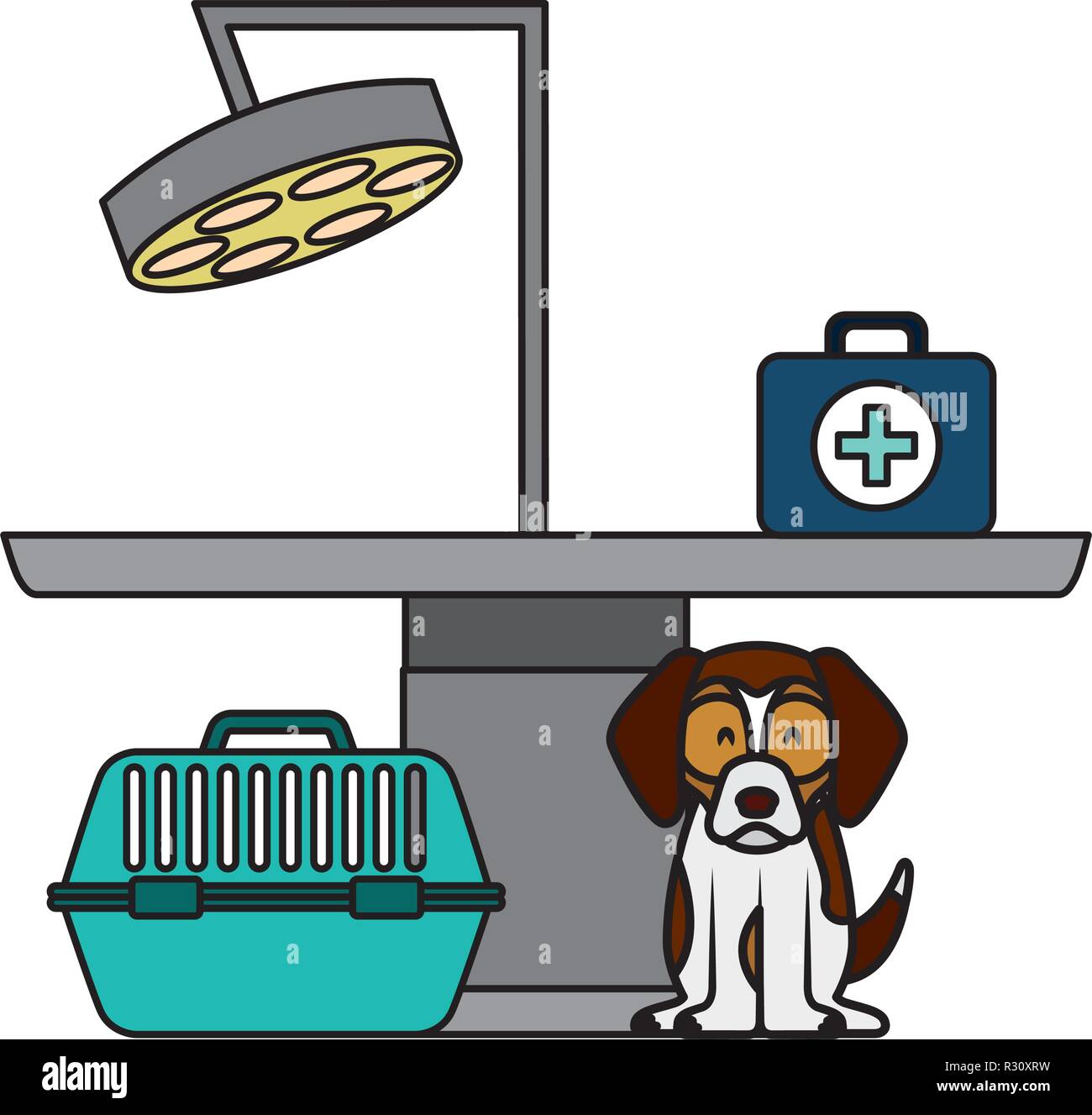 Dog And First Aid Kit Stock Photos & Dog And First Aid Kit Stock Images ...