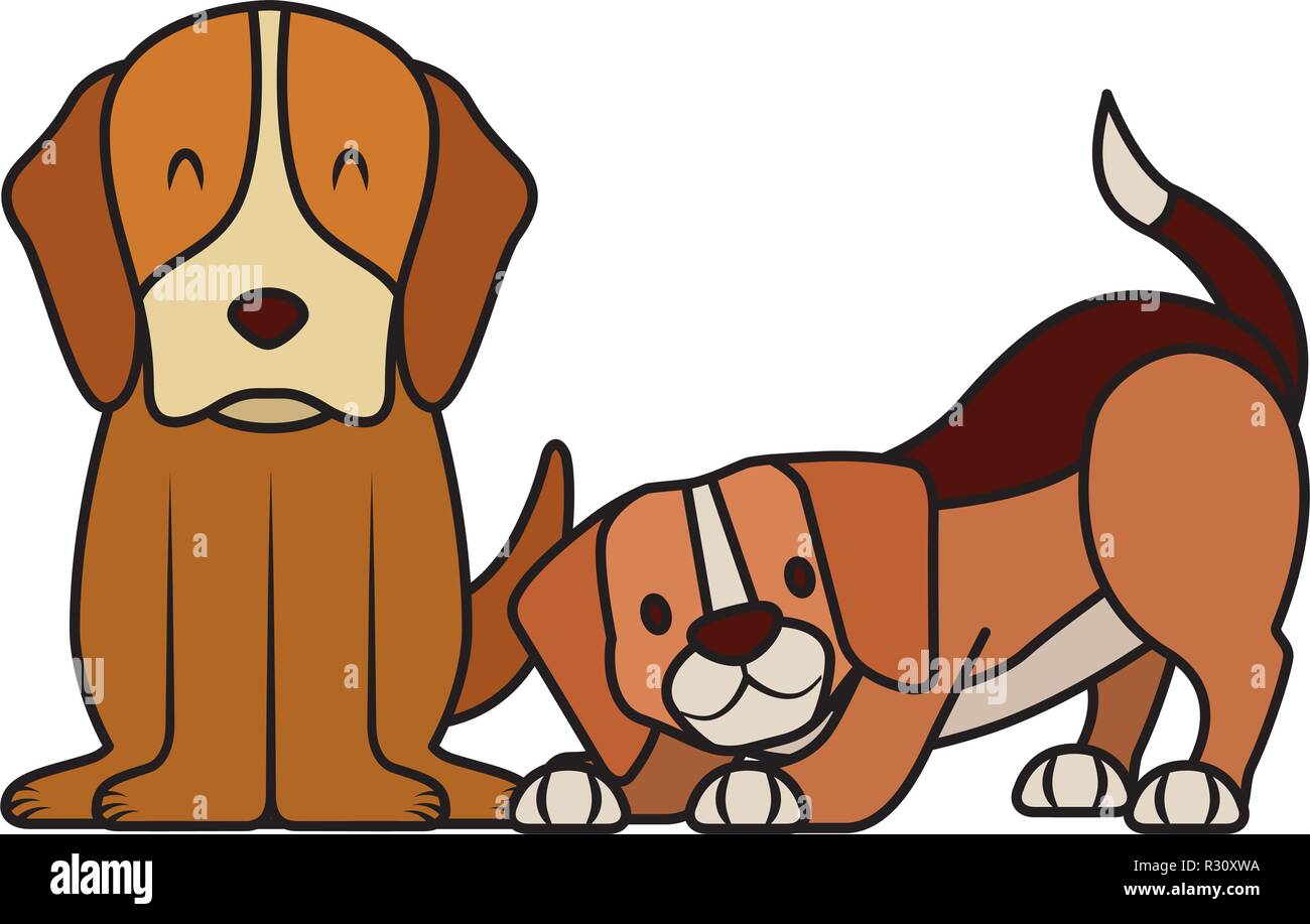 dogs pet on white background vector illustration Stock Vector Image ...
