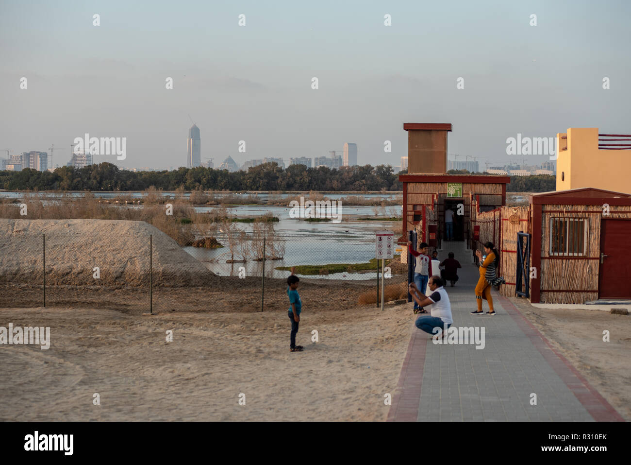 Wild Birds in Ras Al Khor Wildlife Sanctuary, Ramsar Site, Mangrove ...