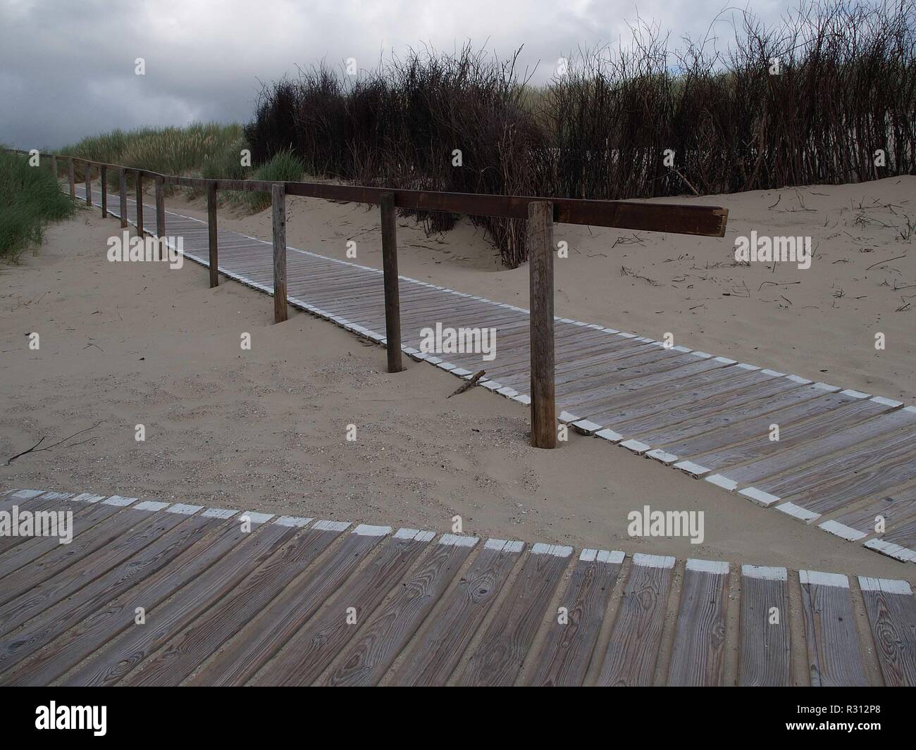 paths on the beach Stock Photo - Alamy
