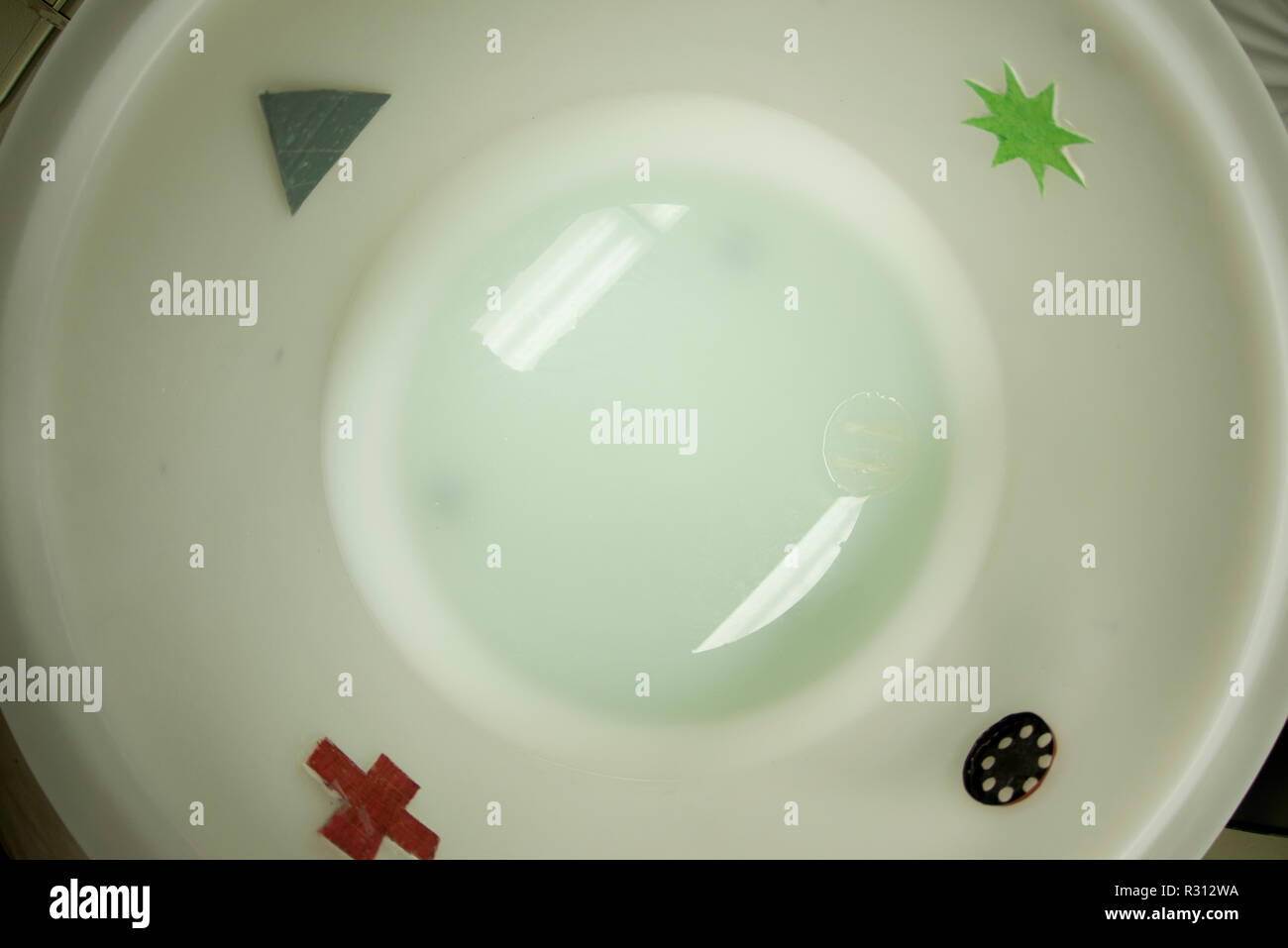 Morris water navigation task hi-res stock photography and images - Alamy