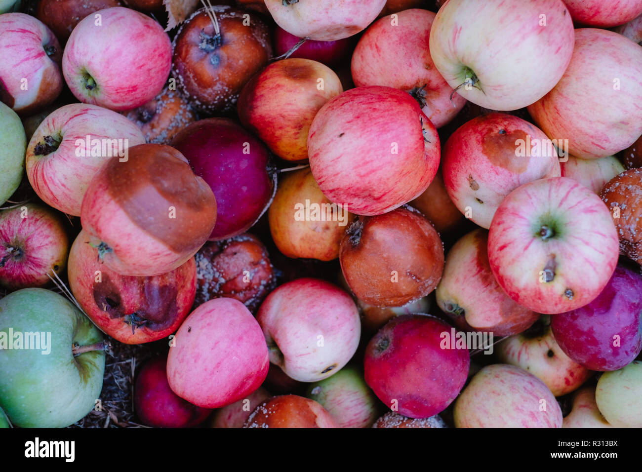 Spoiled view hi-res stock photography and images - Alamy