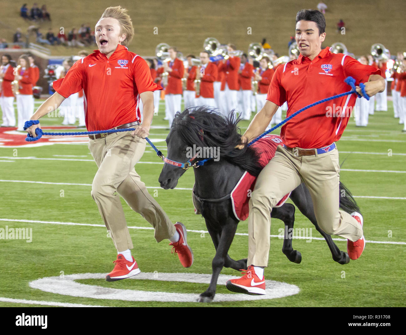 Dallas, Texas, USA. 16th Nov, 2018. SMU's mascot, Peruna IX, runs down ...