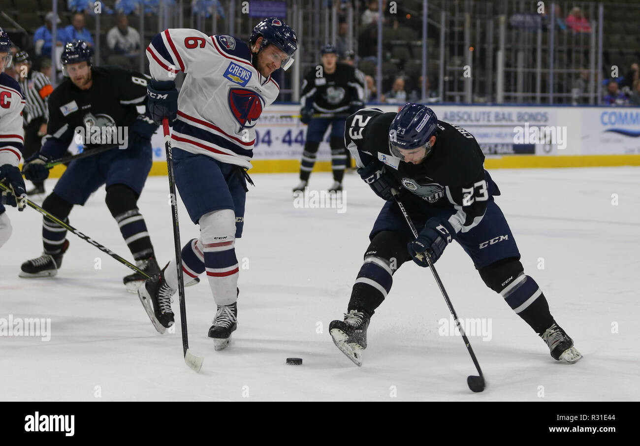 South Carolina Stingrays defenseman Tim Davison (6) and Jacksonville ...
