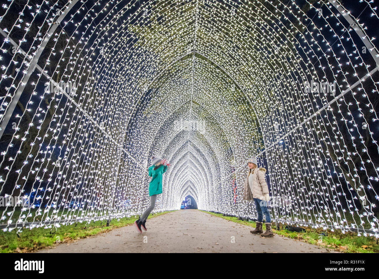 Kew Gardens, London, UK. 21st Nov 2018. Kew’s largest ever tunnel of ...