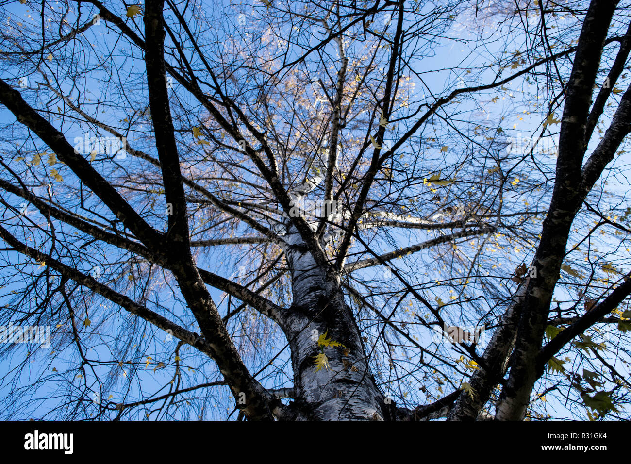 Fall festival scene hi-res stock photography and images - Alamy