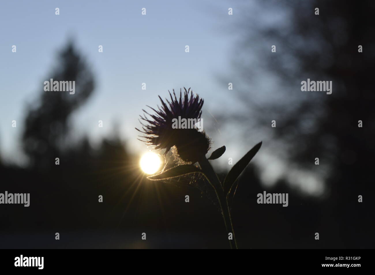 Keep the sun hi-res stock photography and images - Alamy