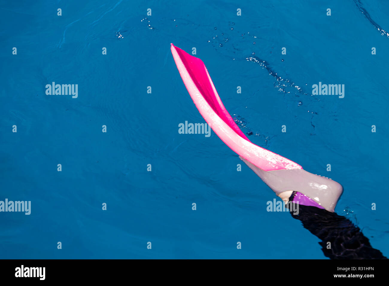 pink fin , australia Stock Photo - Alamy