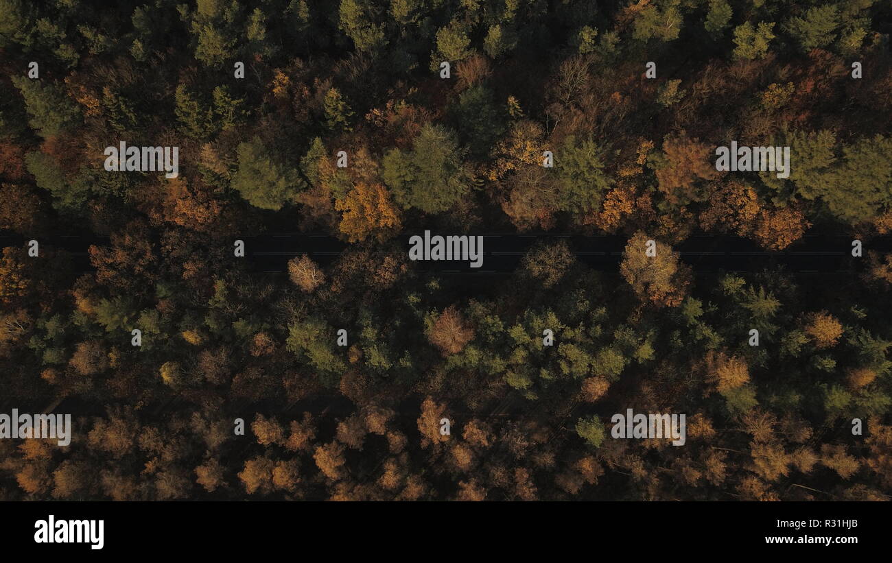 Aerial forest road map hi-res stock photography and images - Alamy