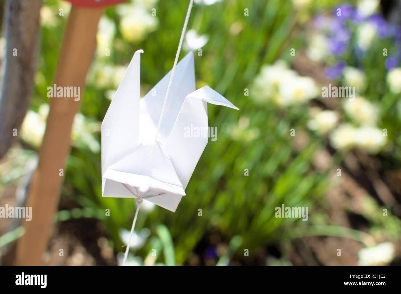 Good garden ground cover hi-res stock photography and images - Alamy