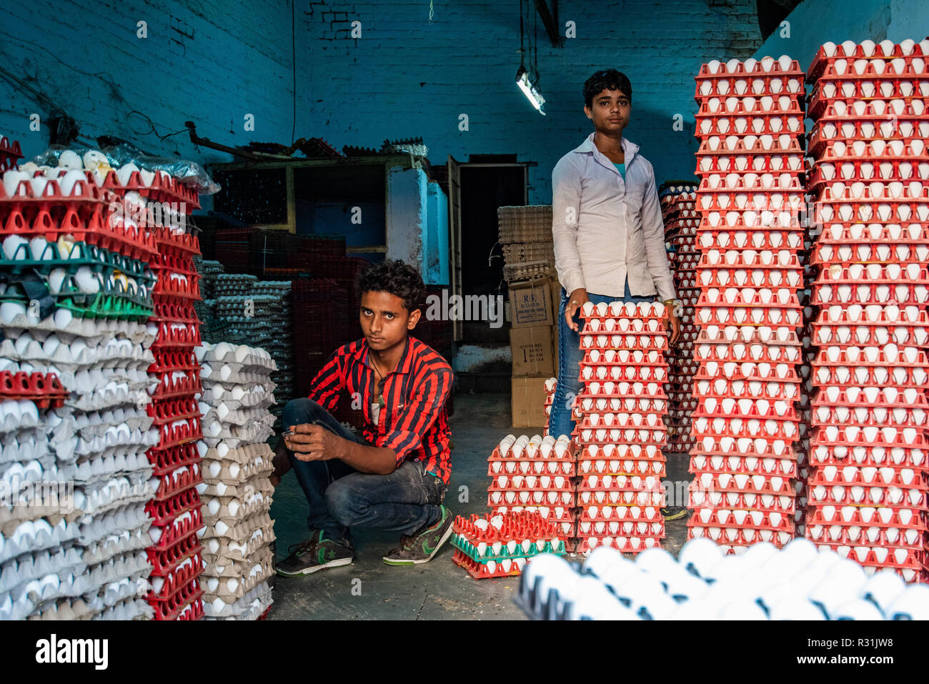 Egg wholesaler hi-res stock photography and images - Alamy