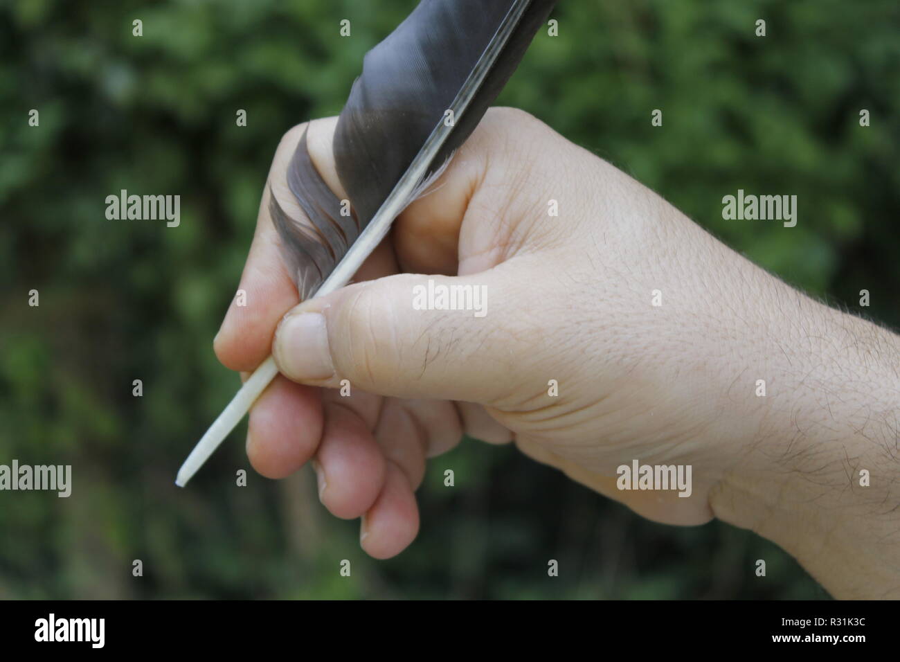 hand with an eagle feather, concept of ancient writing Stock Photo - Alamy