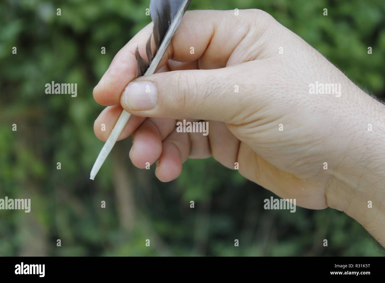 hand with an eagle feather, concept of ancient writing Stock Photo - Alamy