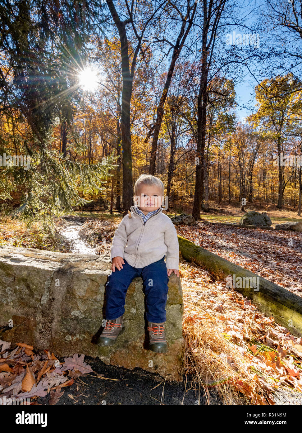 Little Boy in Autumn Foliage Portrait Stock Photo - Alamy