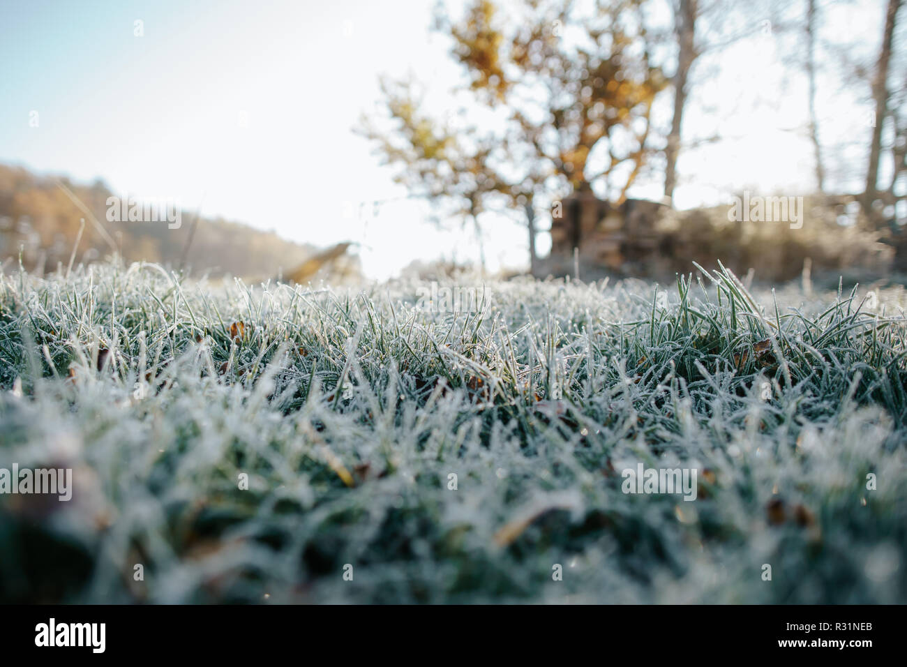 Low angle close ground shot hi-res stock photography and images - Alamy