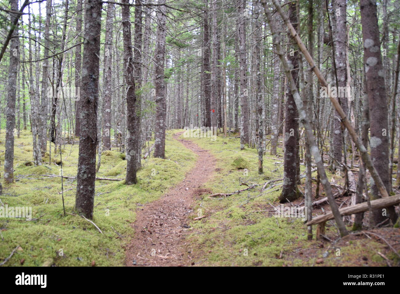 Curves path hi-res stock photography and images - Alamy