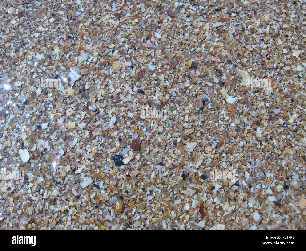 Web of life art display hi-res stock photography and images - Alamy