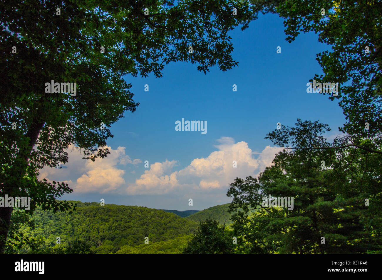 Gorge, Mohican State Park, Ohio Stock Photo - Alamy