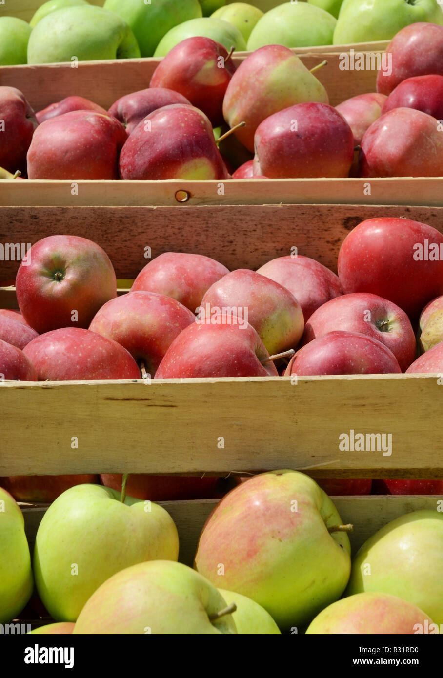 Fresh organic apples in wooden crates ready for market Stock Photo - Alamy