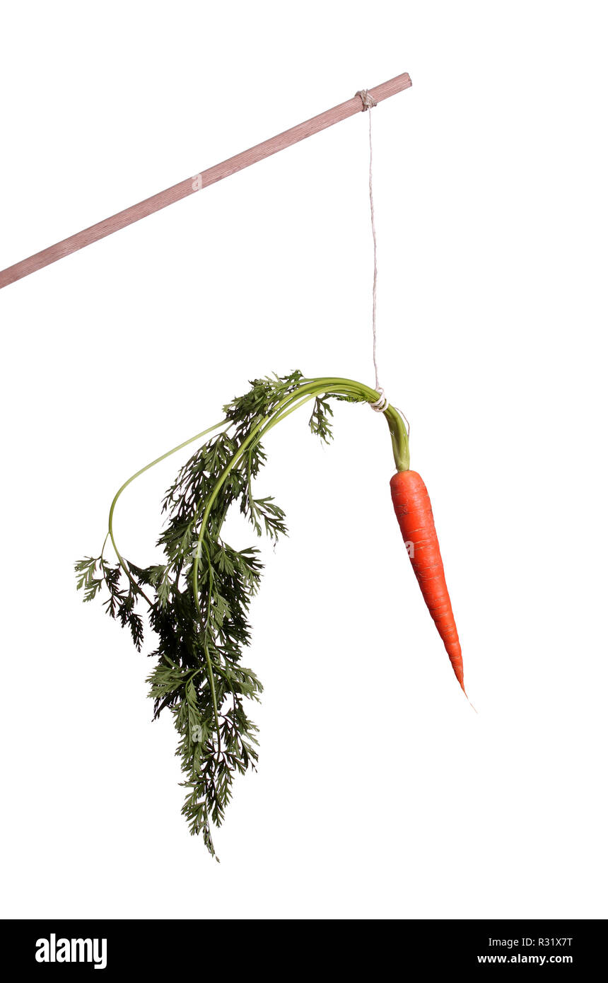 Carrot hanging stick hi-res stock photography and images - Alamy
