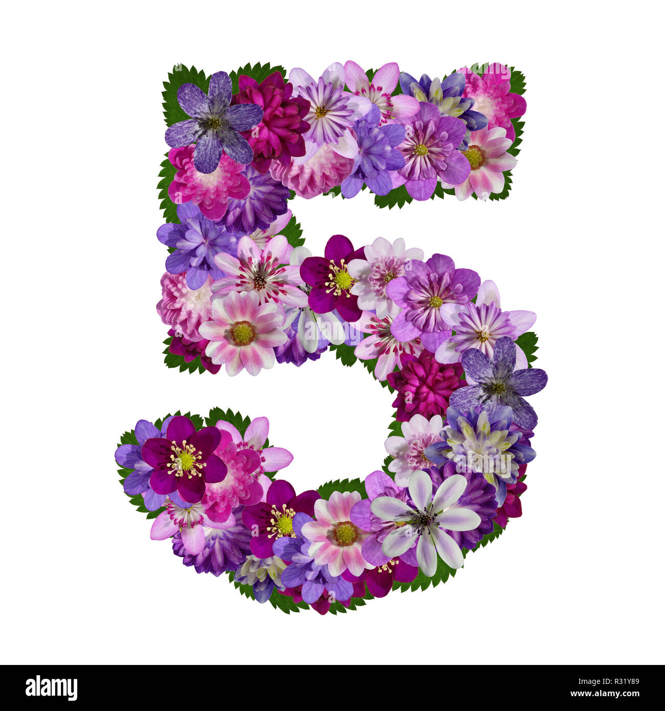 flowers alphabet number 5 Stock Photo - Alamy