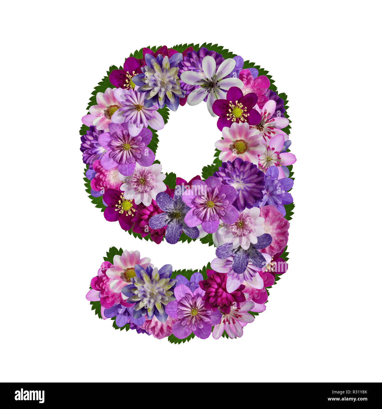 flowers alphabet number 9 Stock Photo - Alamy