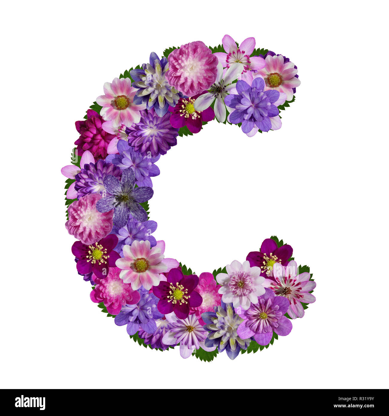 C Flower Images AI Generated 3d Modern Style Carnation Flower Letter C
