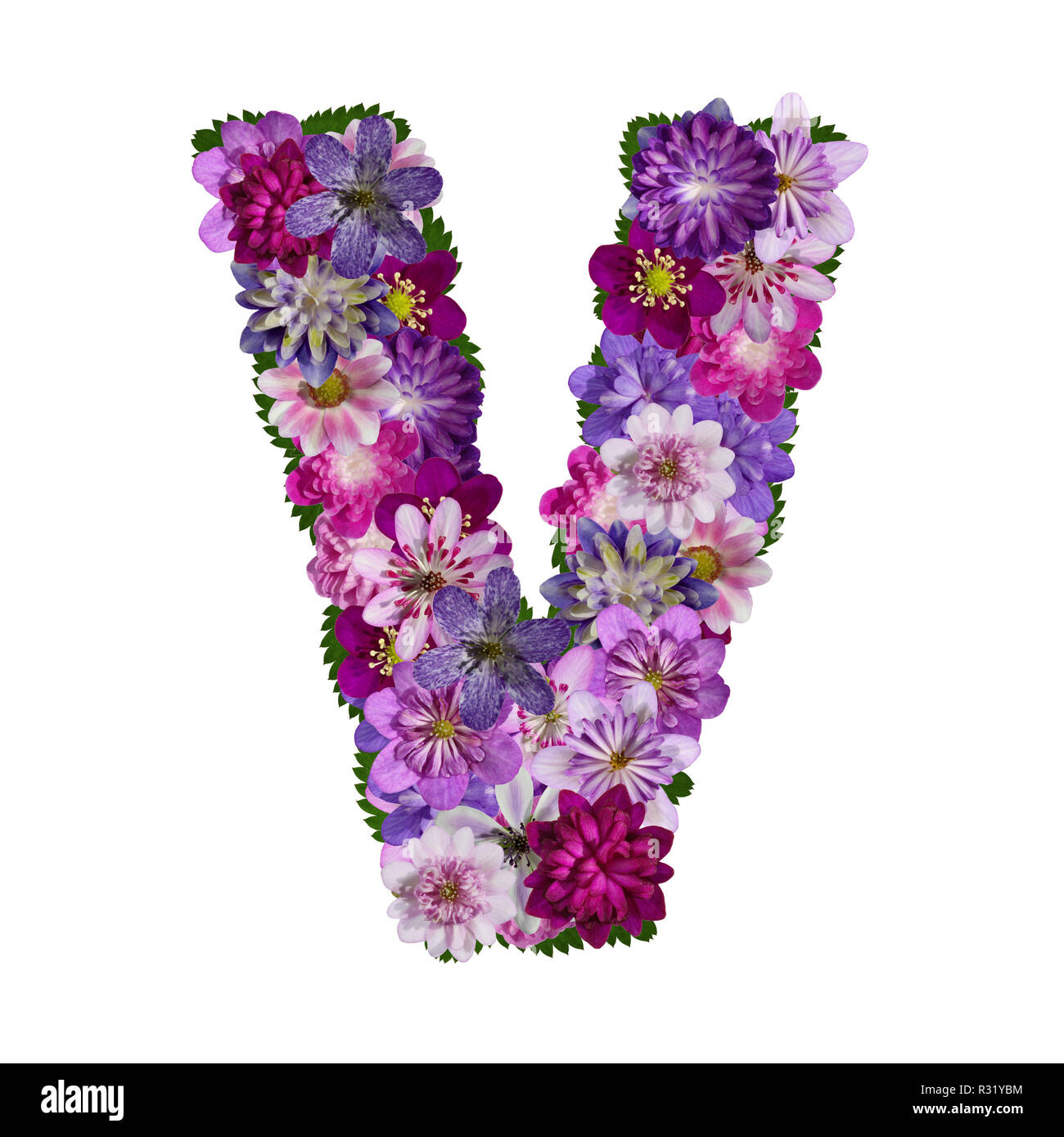 flowers alphabet letter v Stock Photo - Alamy