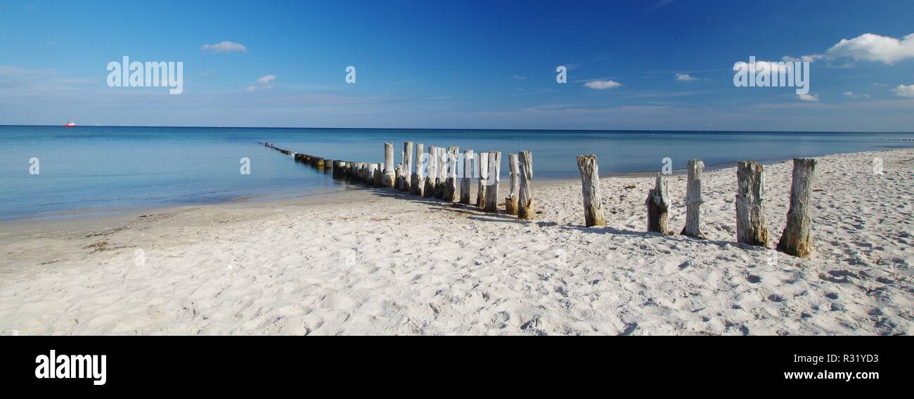 groenlandschaft at the beach of prerow Stock Photo - Alamy
